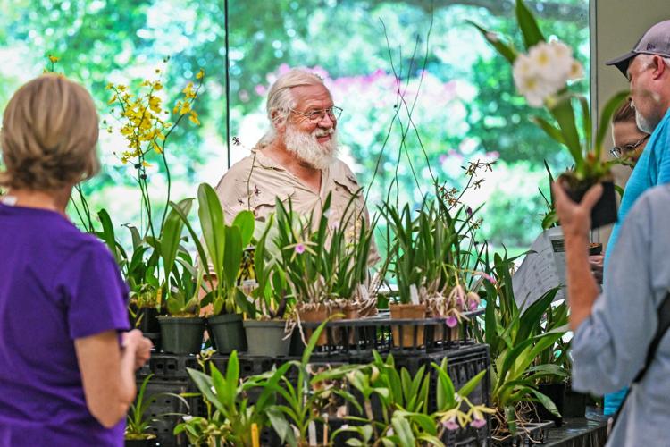 Photos: "A Feast of Orchids" at the LSU Rural Life Museum | Photos ...