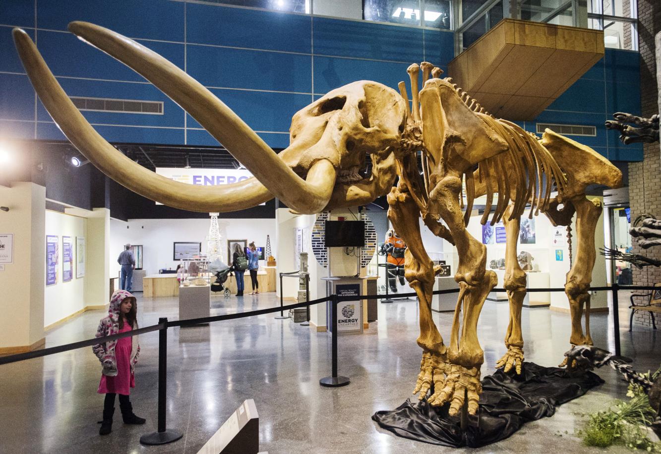 Photos: Free Admission Day at the Lafayette Science Museum | Photos ...
