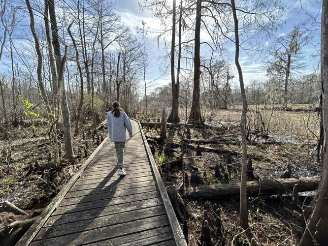 Lake Fausse Pointe State Park: A spot for experiencing the tame part of ...