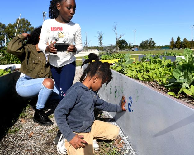 'An ultimate way to communicate': Baton Rouge's Gardere uses art to ...