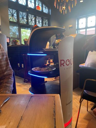 Meet Bella Bot, Rouj Creole's server robot who waits tables, brings ...
