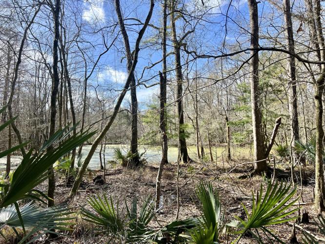 Rotary Club of Greater Ascension erects trail markers at Amite River ...