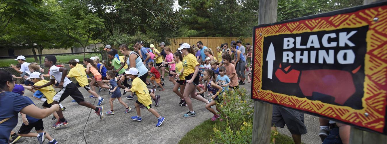 Photos: 'Zoo Run Run' 5k, fun run benefits cheetah conservation and ...