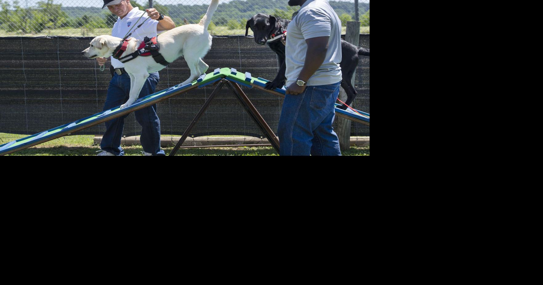 In Angola, inmates train dogs to help vets with PTSD: 'A builder ...
