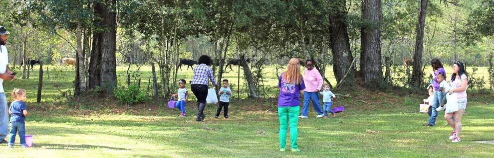 Egg hunt unites Chaneyville | Zachary | theadvocate.com