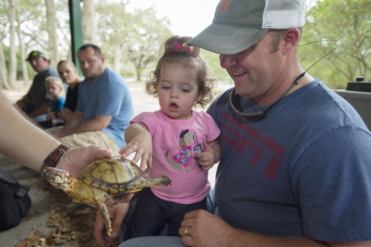 Photos: 'I Heart My Zoo Day' at BREC's Baton Rouge Zoo | Photos ...
