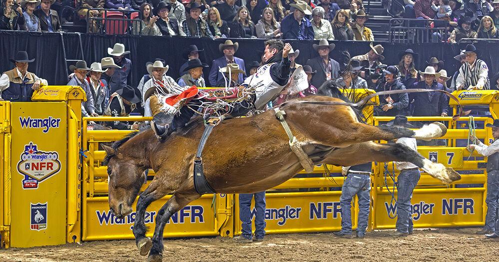 Louisiana cowboys reach last rounds at National Finals Rodeo | News ...