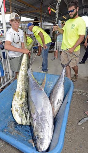 Photos: Grand Isle Tarpon Rodeo Day 4 | News | theadvocate.com