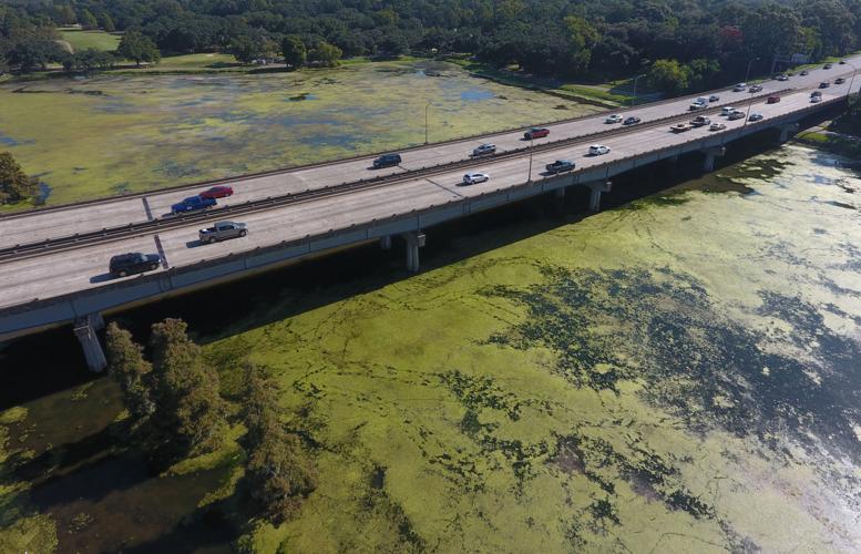 Why all the algae in City Park Lake in Baton Rouge? 'There isn't a ...