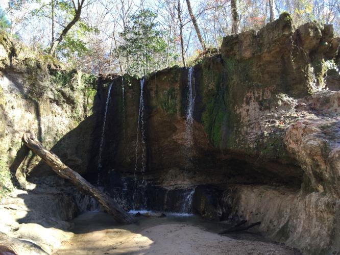 Take a hike: South Louisiana has plenty of places where you can get ...