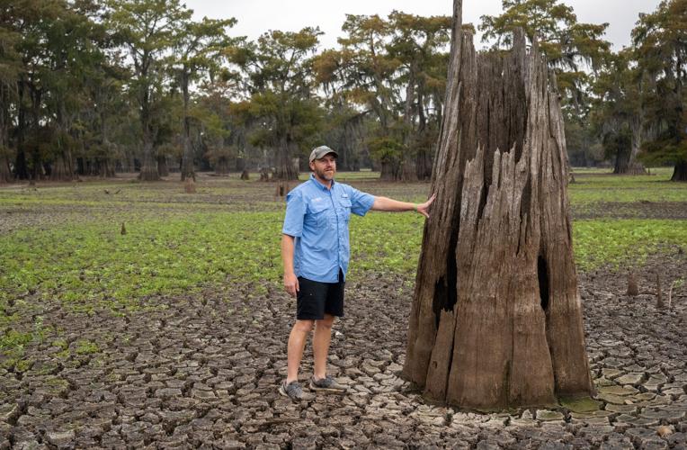 Atchafalaya Basin water level hit historic lows last month | Business ...