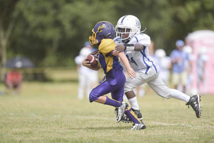 Yellow Jackets youth teams off to strong start against Bulldogs, Tigers ...