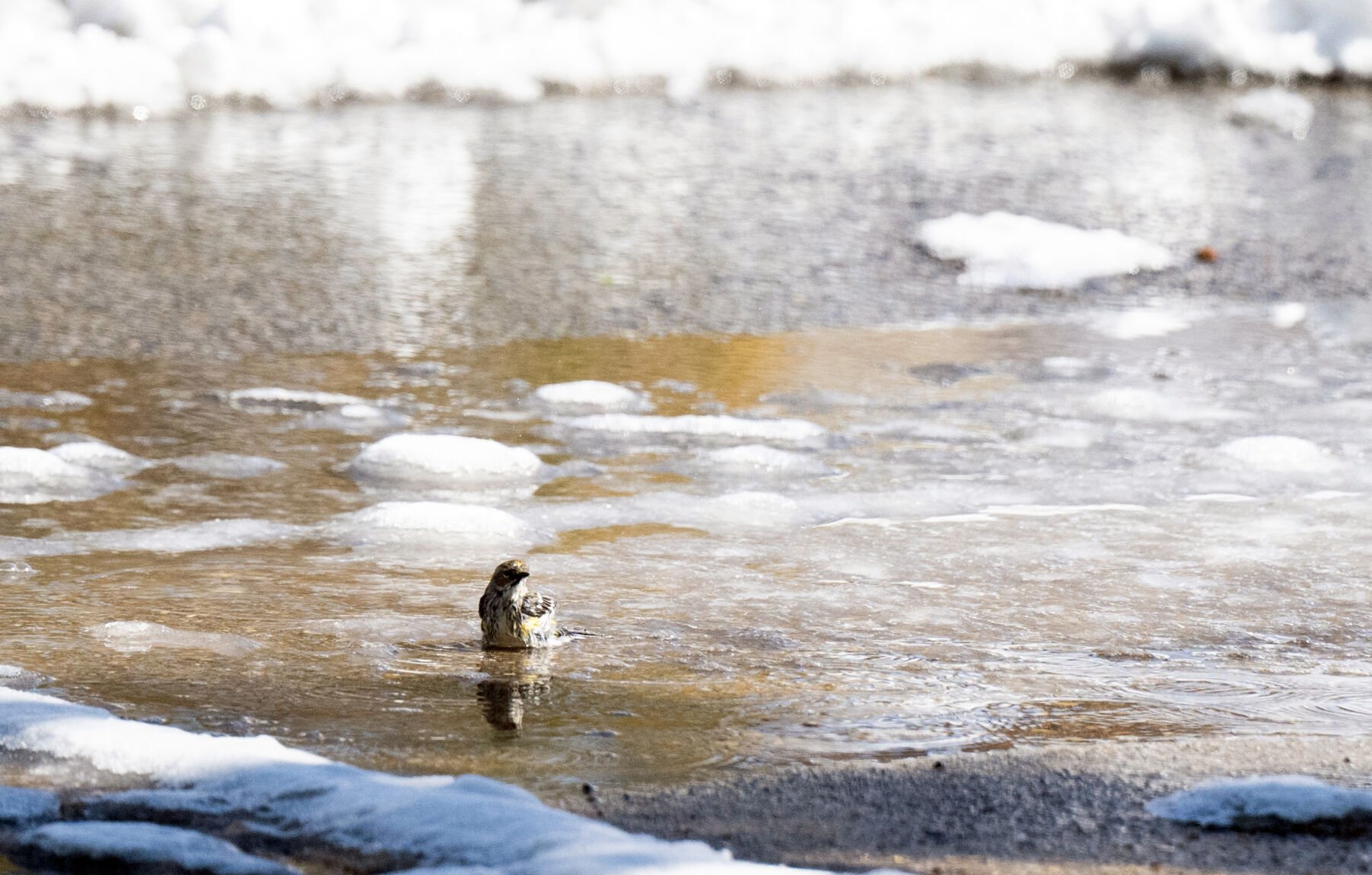 Could Lafayette’s cold front bring snow? | Weather/Traffic ...