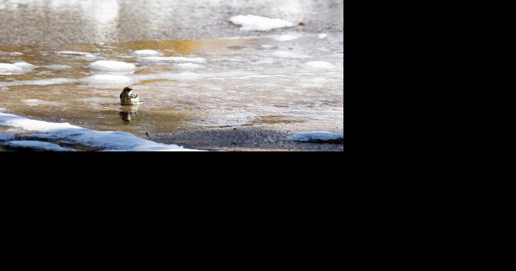 Could Lafayette’s cold front bring snow? | Weather/Traffic ...