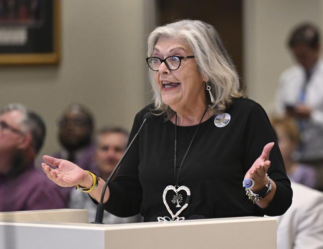 Metro Council grills parish officials over stormwater debacle, rejects ...