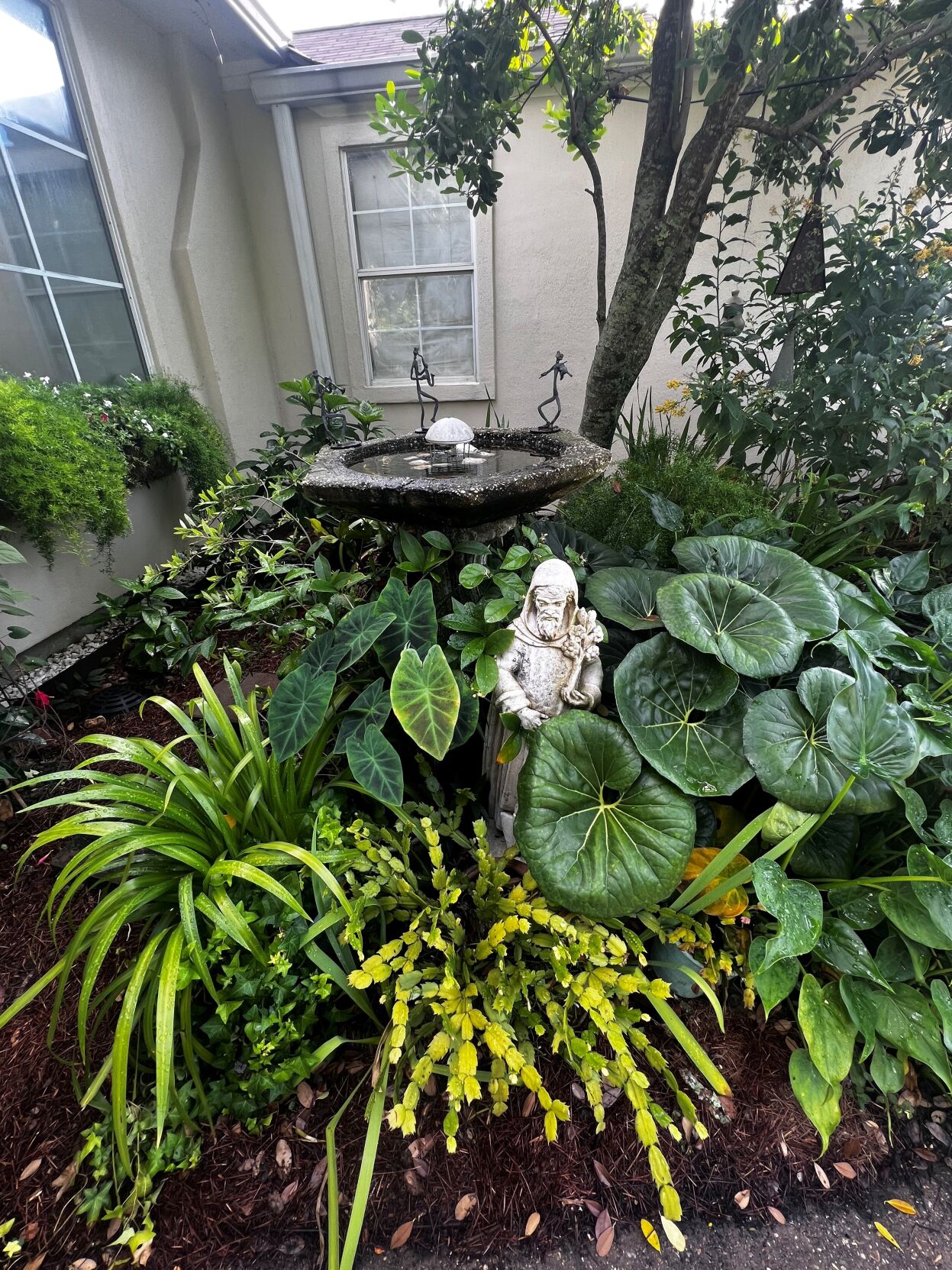 Brenda Davis' garden draws people and wildlife alike | Entertainment ...