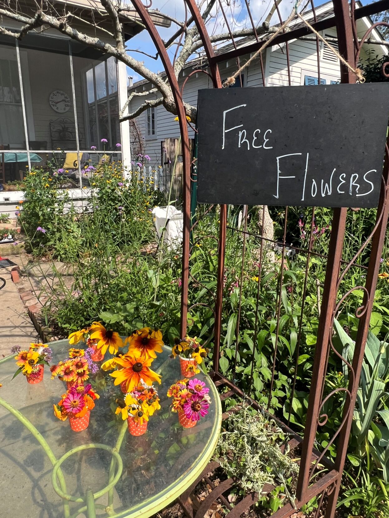 Ginger Ford plants pollinator gardens along BR street | Entertainment ...