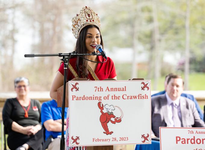 One lucky crawfish won't become a tasty Cajun treat | Acadiana Home ...