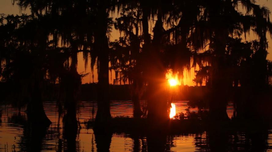 Erased from the bayou: Documentary looks at community impact of Bayou ...