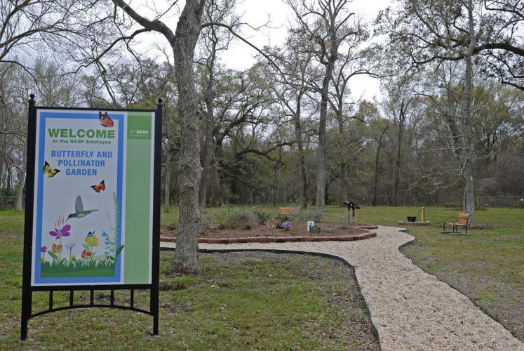 In the shadow of its chemical plant in Geismar, BASF creates a habitat ...
