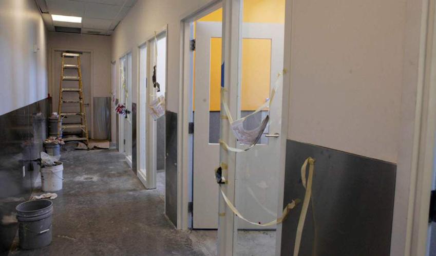 New Louisiana SPCA veterinary office to open this May after 7 year wait ...