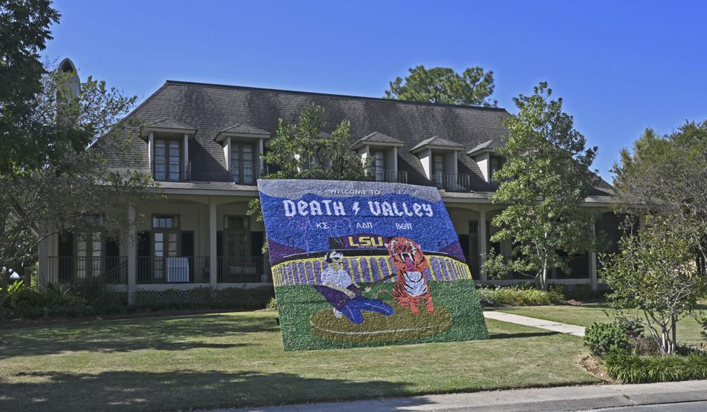 Photos: LSU Greek Life Decorates for Homecoming Week | Photos ...