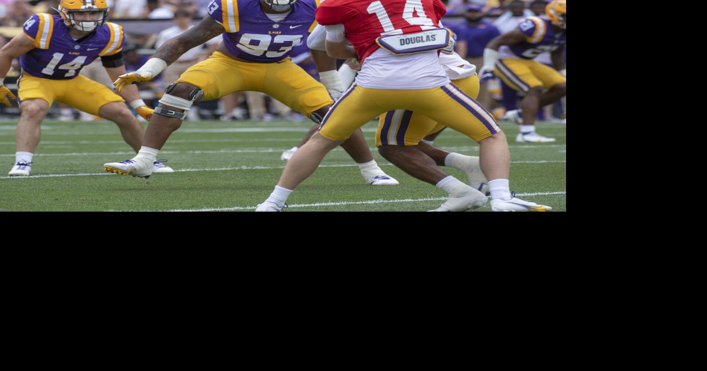 The 5 freshmen most likely to make an impact on the LSU football team ...