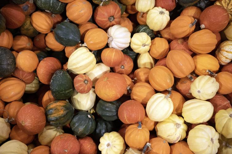 Loads of pumpkin varieties in Baton Rouge | Entertainment/Life ...