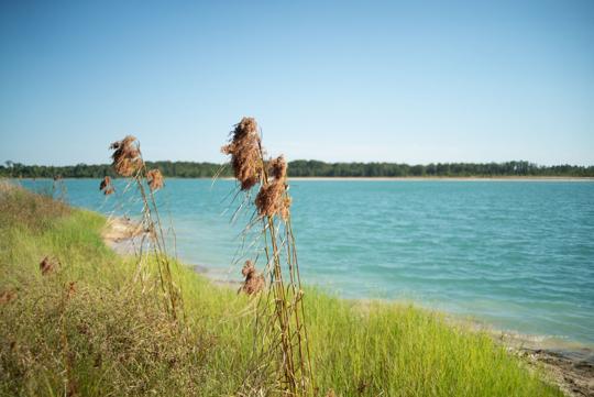 Blue water in Louisiana at Lake Isabel Farm beach | Travel ...