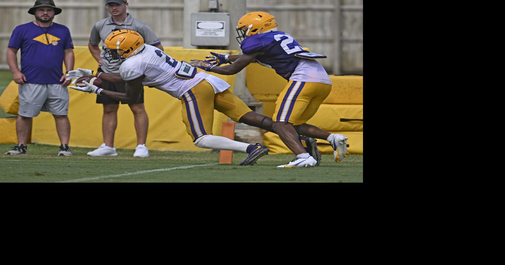 Scott Rabalais: Assessing LSU's position groups near the halfway point ...