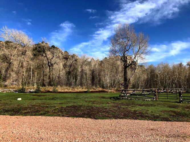 Jan Risher: Learning to let go and appreciate the ephemeral ...