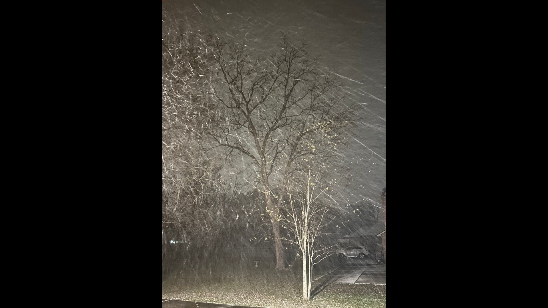 See photos of snow in Baton Rouge, Louisiana | News | theadvocate.com