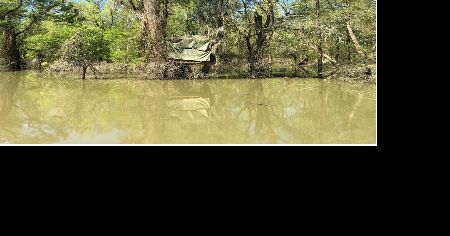 Devil's Swamp Lake, LA Superfund site, nears restoration | Business ...
