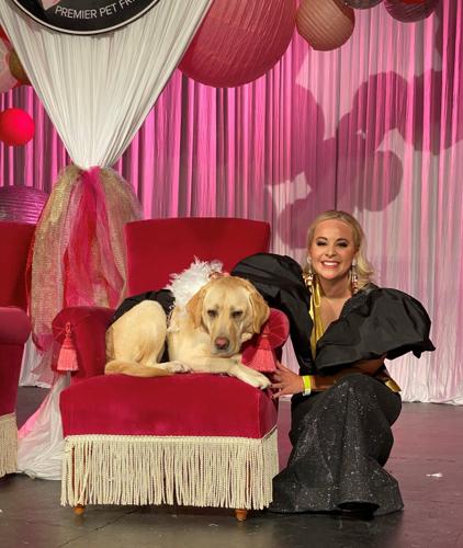 Sequins, dogs in tutus, Chinese Fu dogs and more: FurBall is back ...