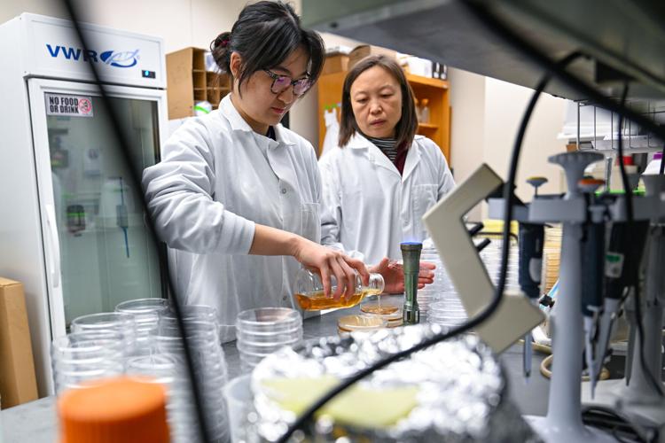 LSU researchers utilizing staph bacteria to fight cancer | Education ...