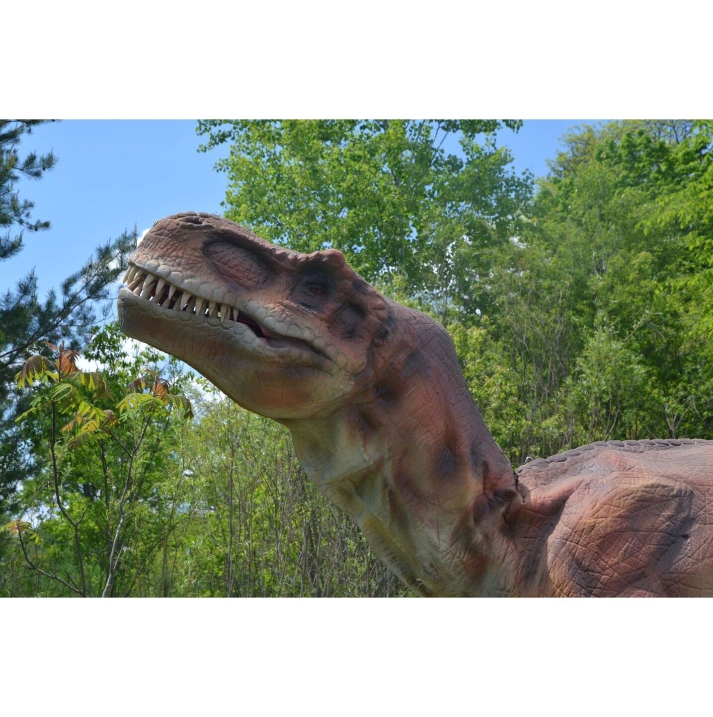 Greater Baton Rouge State Fair: 7 things to know | Entertainment/Life ...