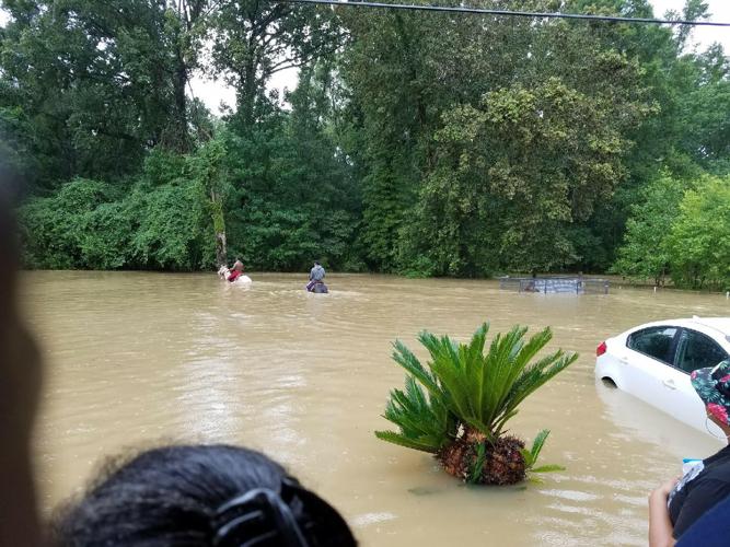 A big hurdle: LSU's Gage helped family overcome flood, now leading ...