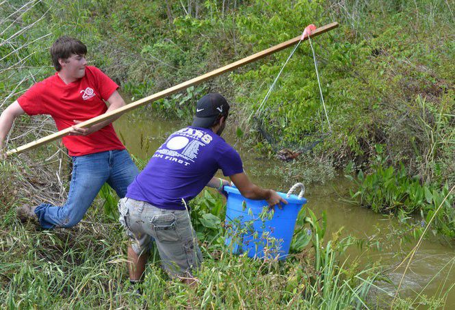 14 fascinating crawfish facts | Louisiana Outdoors | theadvocate.com