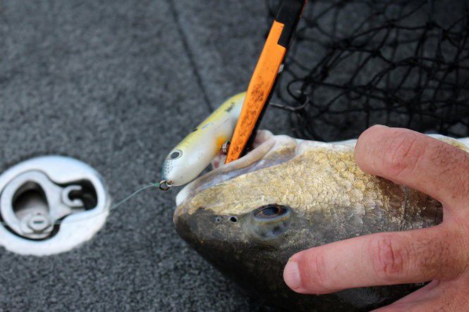 16 idiotic things you can do on a fishing trip | Louisiana Outdoors ...