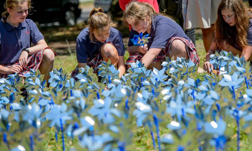 Photos: Pinwheels for prevention | Photos | theadvocate.com