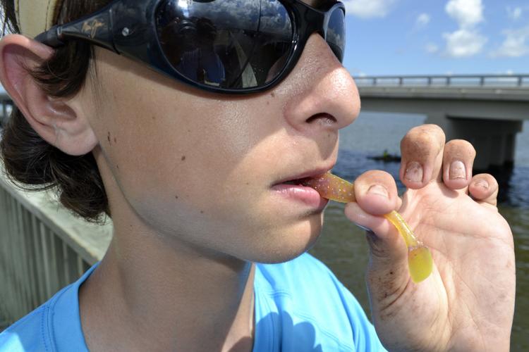 Keeper white trout biting every cast off Grand Isle fishing pier ...