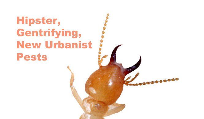 Newcomers' guide to the 5 New Orleans bugs that bug us most | Louisiana ...