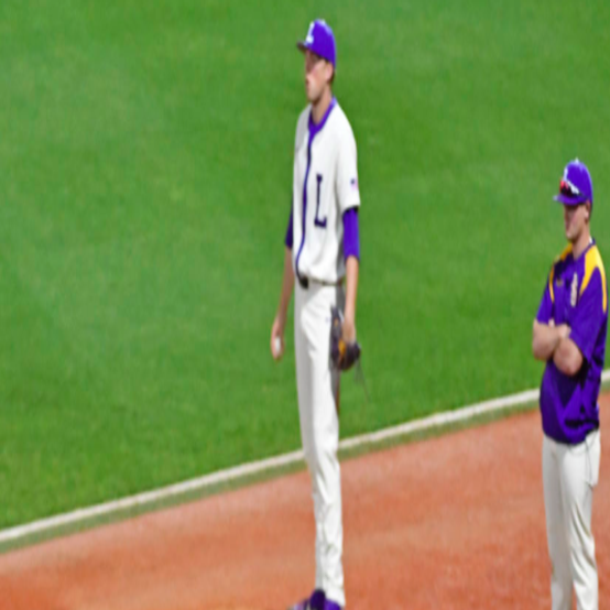 lsu baseball stadium rules