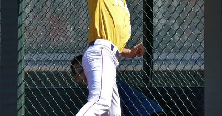 LSU OF Mark Laird makes leaping catch, knocks in three hits in Tigers ...
