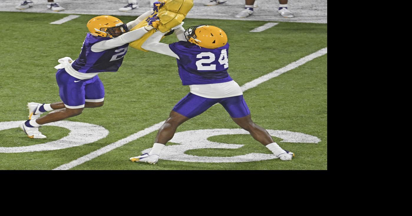 An LSU defensive back has decided to enter the transfer portal | LSU ...