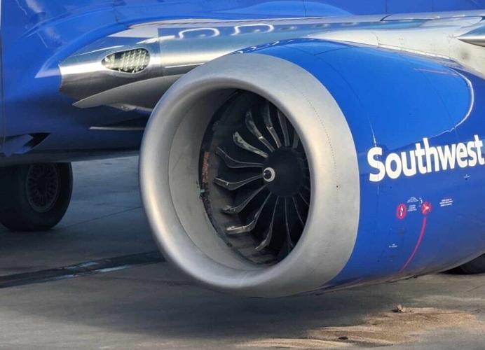 Passengers describe terror after plane struck bird | News | theadvocate.com