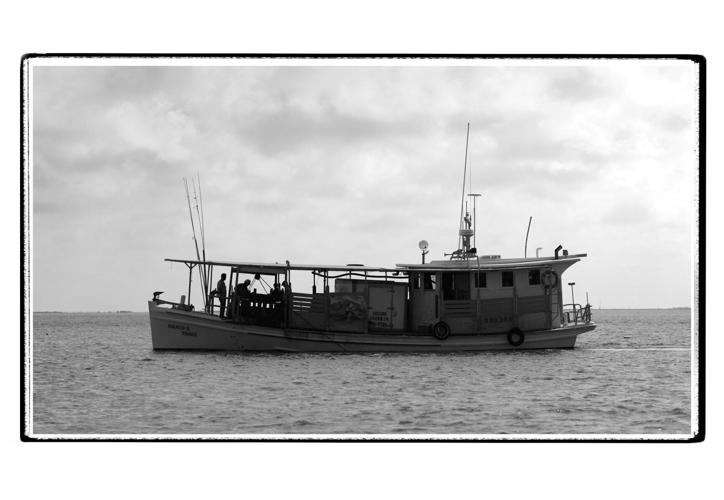 Nonprofits plant millions of oysters to restore population | News ...