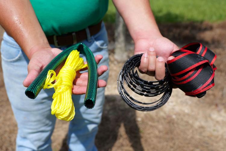 Here’s the right way to stake a new tree for support | Home/Garden ...