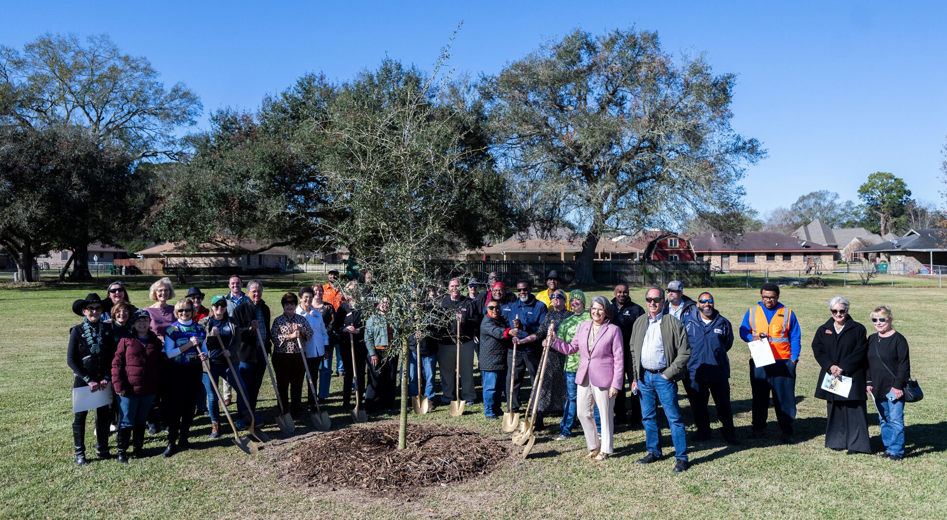 Lafayette Arbor Day live oak tree dedication | Photos | theadvocate.com