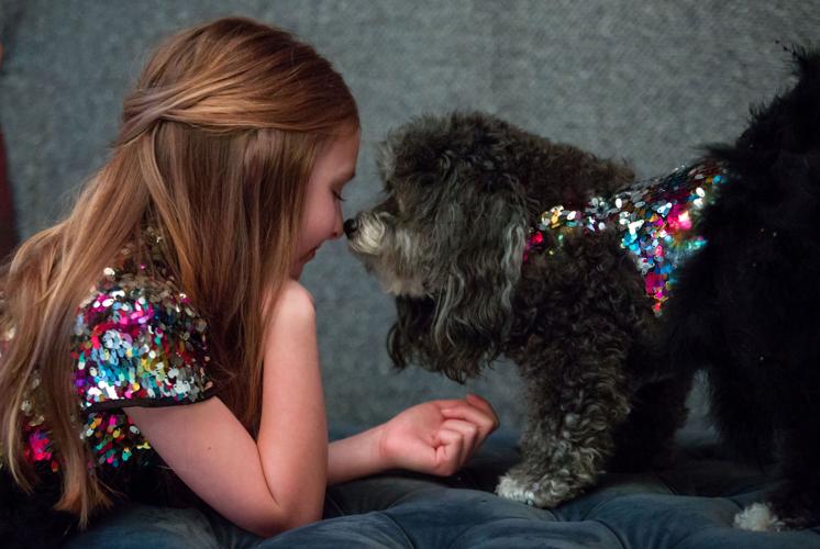 Mutts to Models: Canines and their human friends get dressed up for a ...